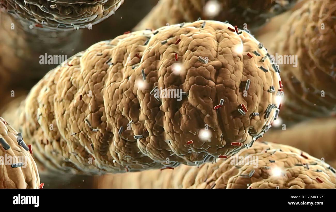 Bacterial cell microscope hi-res stock photography and images - Alamy