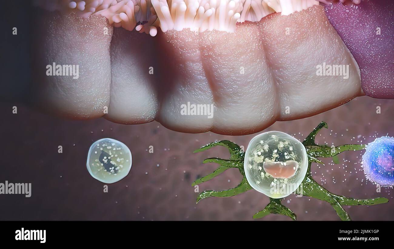 Diarrhea bacteria hi-res stock photography and images - Alamy