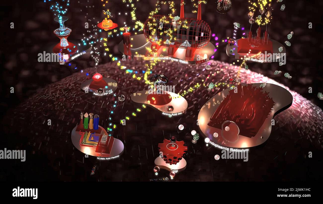 Dna polymerases hi-res stock photography and images - Alamy