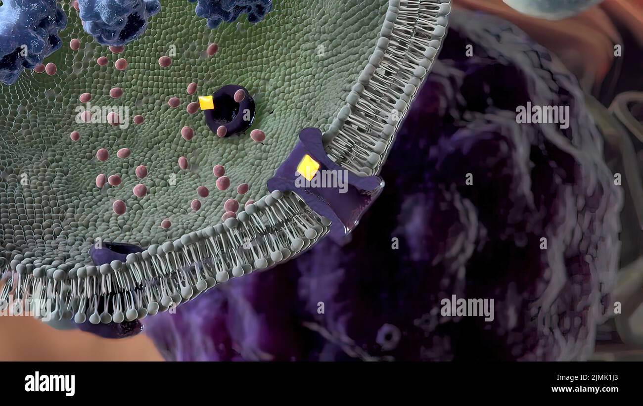 Damaged cells hi-res stock photography and images - Alamy