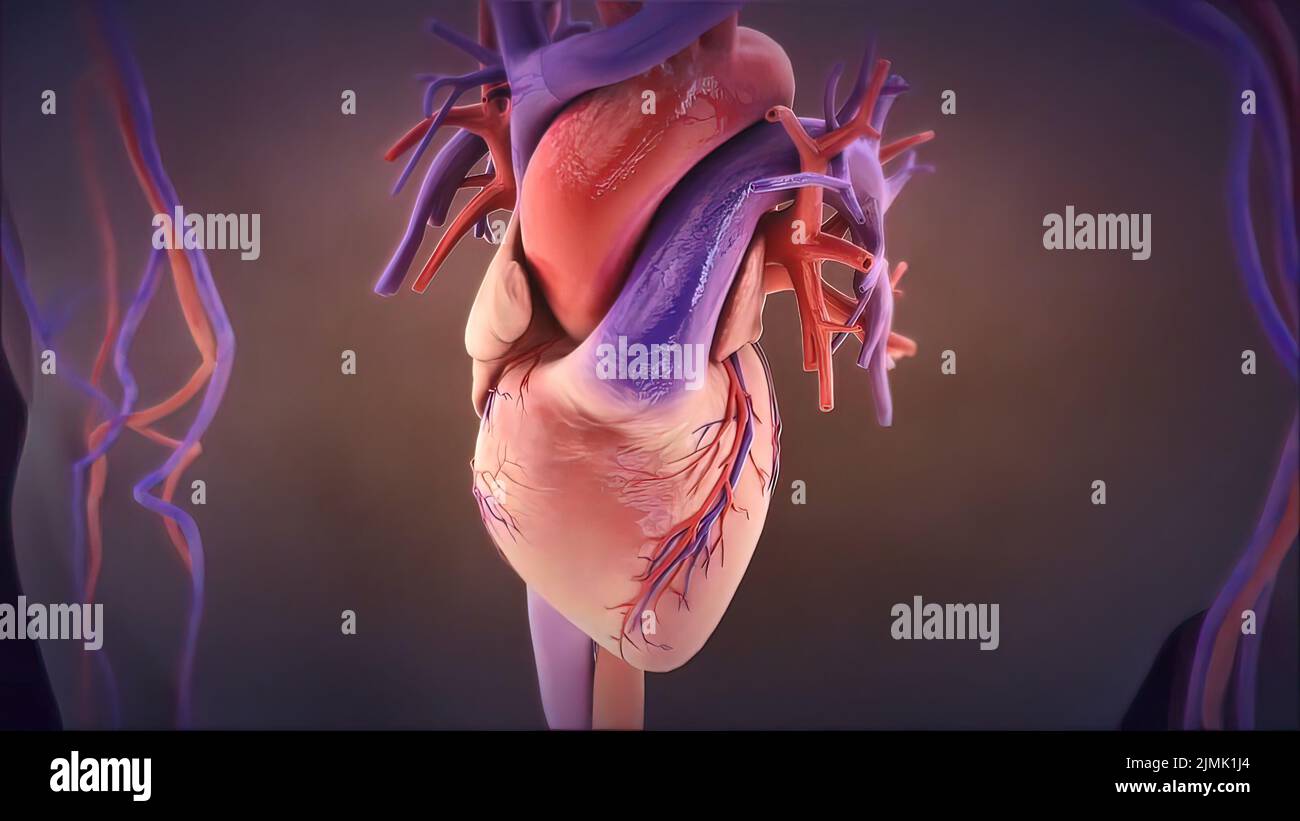 Blood and heart hi-res stock photography and images - Alamy