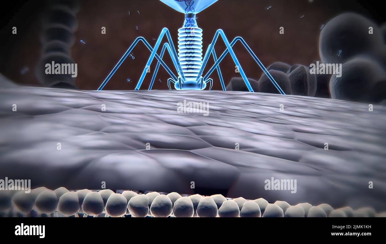 Bacteriophage artwork hi-res stock photography and images - Alamy