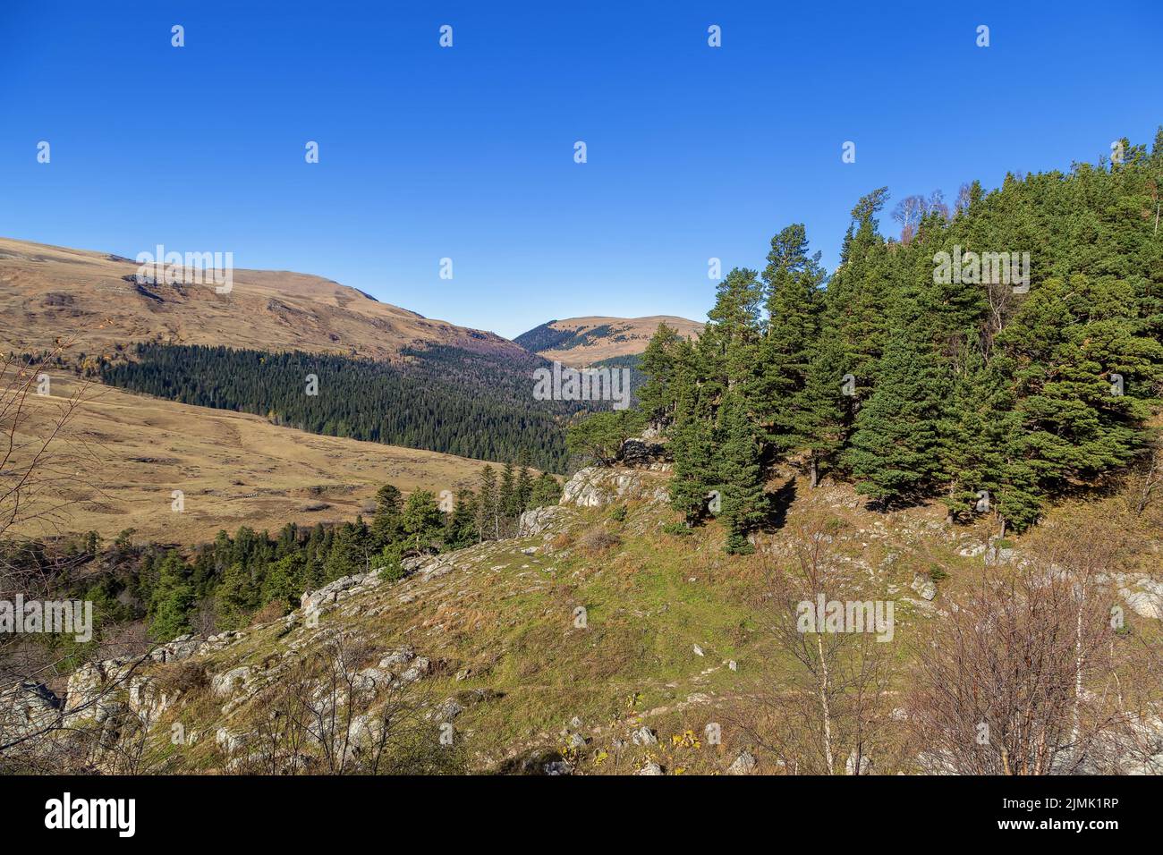 Lago-Naki Plateau, Adygea, Russia Stock Photo - Alamy