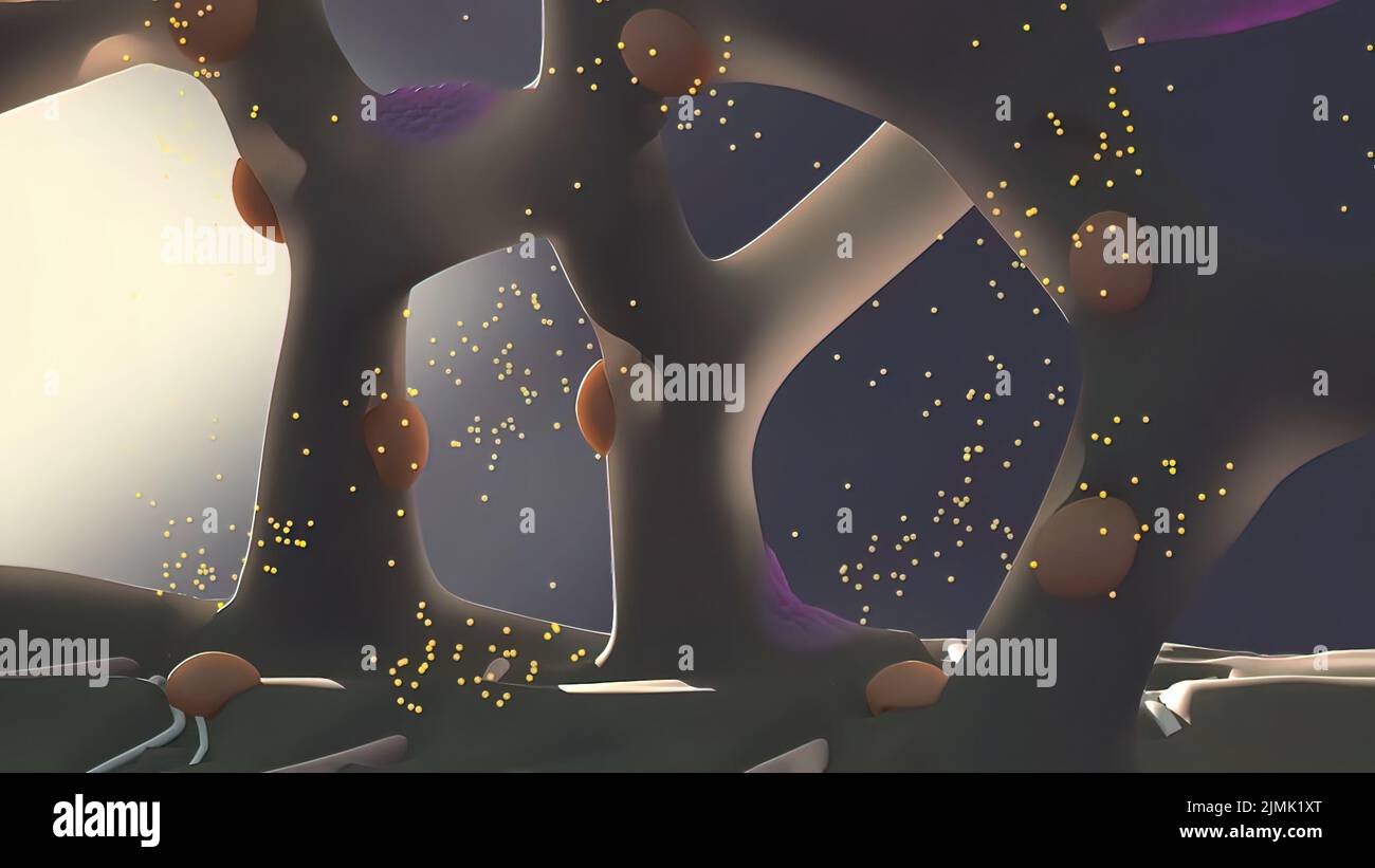 Trabecular structure hi-res stock photography and images - Alamy