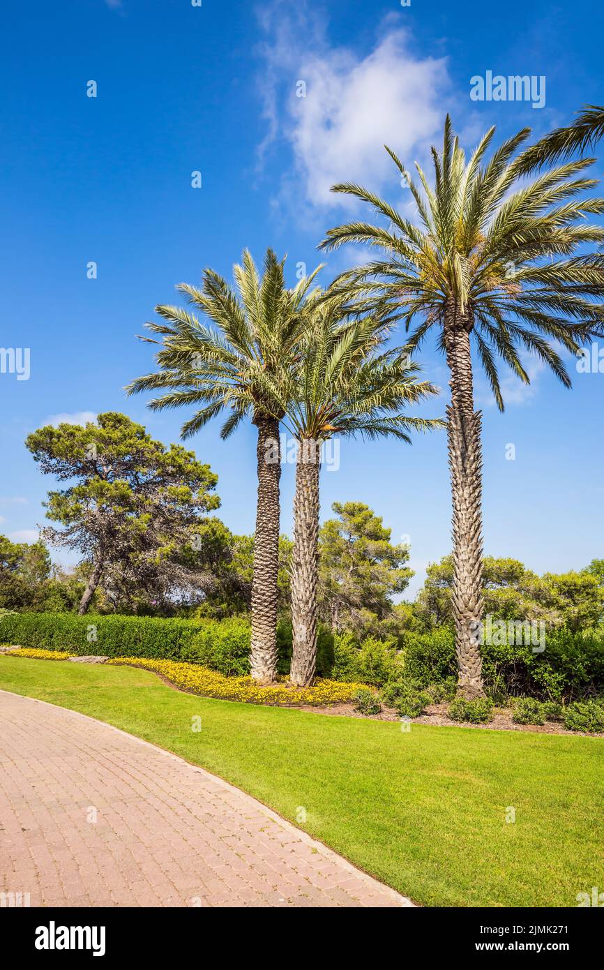 Clean park hi-res stock photography and images - Alamy