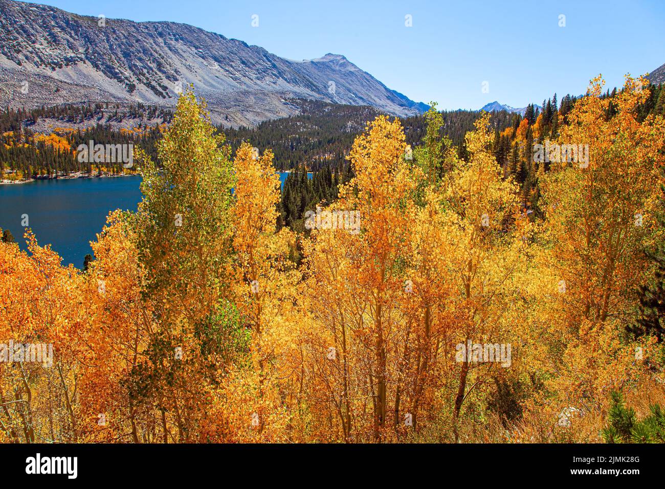 Autumn in montana hi-res stock photography and images - Alamy