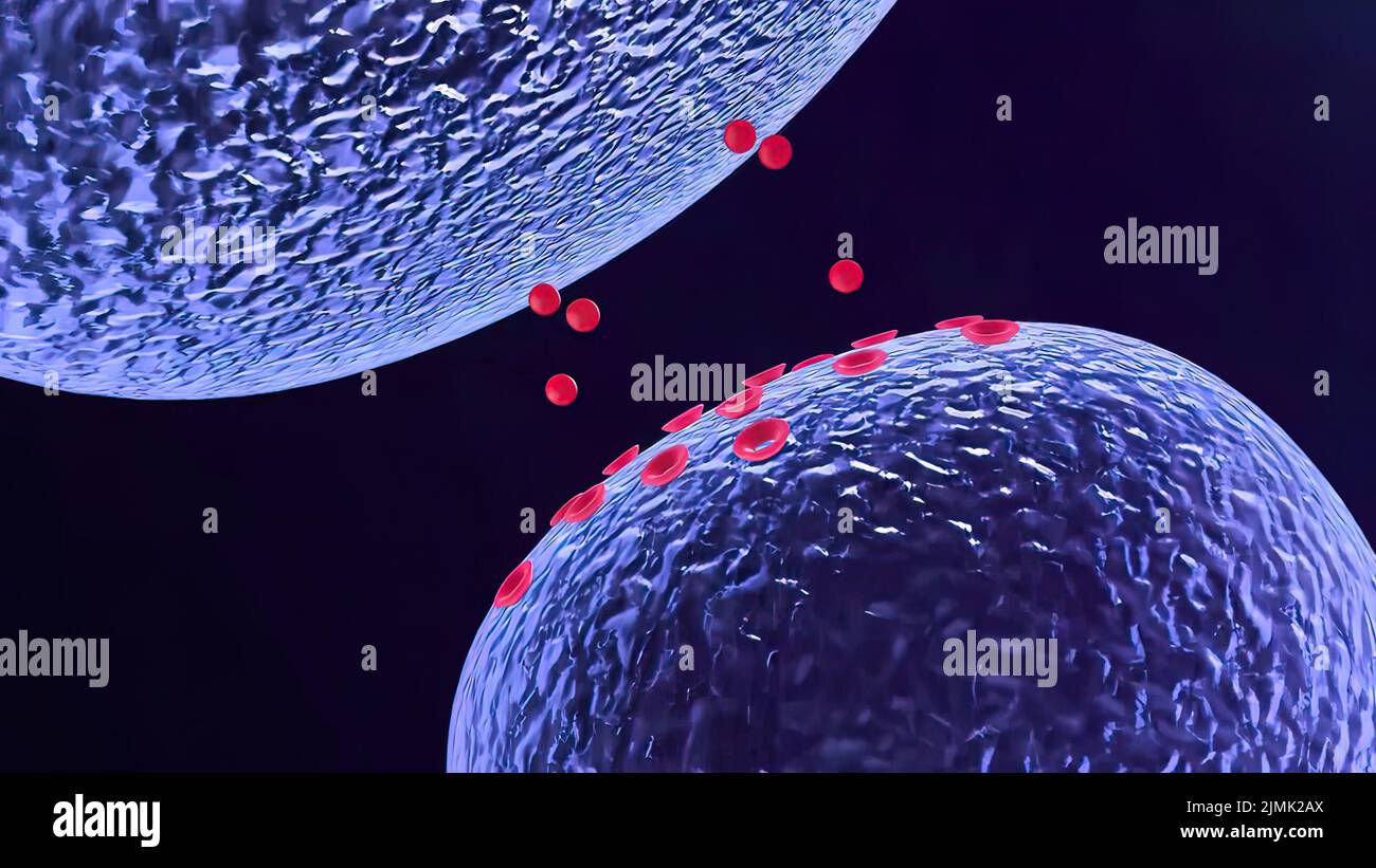 Brain cells spinal cord hi-res stock photography and images - Alamy