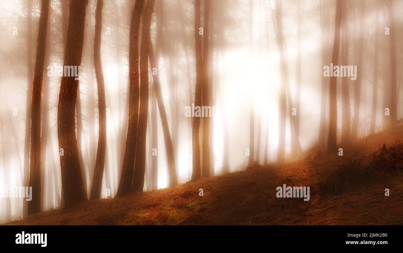 Dark early morning in the rain hi-res stock photography and images - Alamy