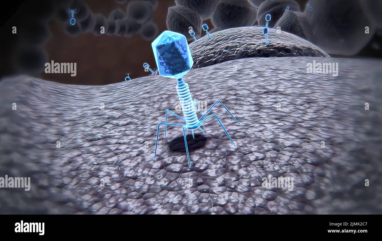 Bacteriophage hi-res stock photography and images - Alamy