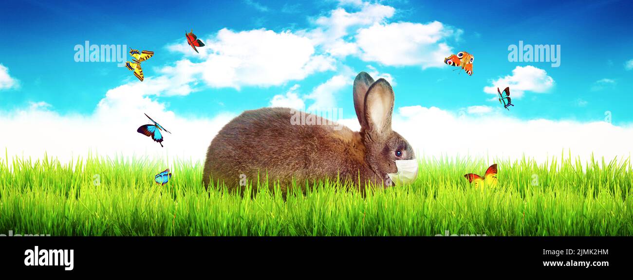 Easter rabbit with medical mask at epidemic time Stock Photo - Alamy