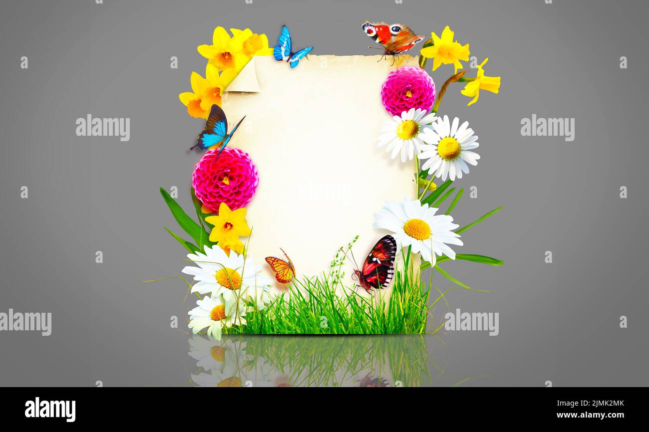 Flowers composition. Photo frame, spring flowers on parchment ...