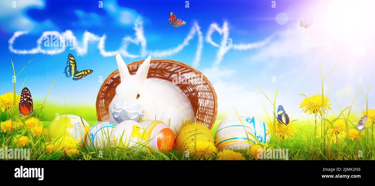 Easter rabbit with medical mask at epidemic time Stock Photo - Alamy