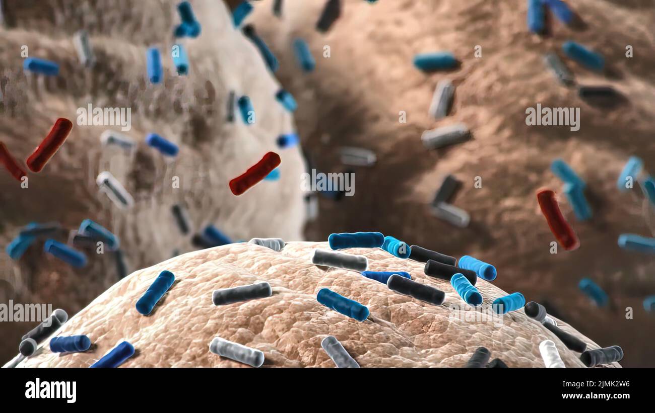 Yogurt bacteria microscope hi-res stock photography and images - Alamy