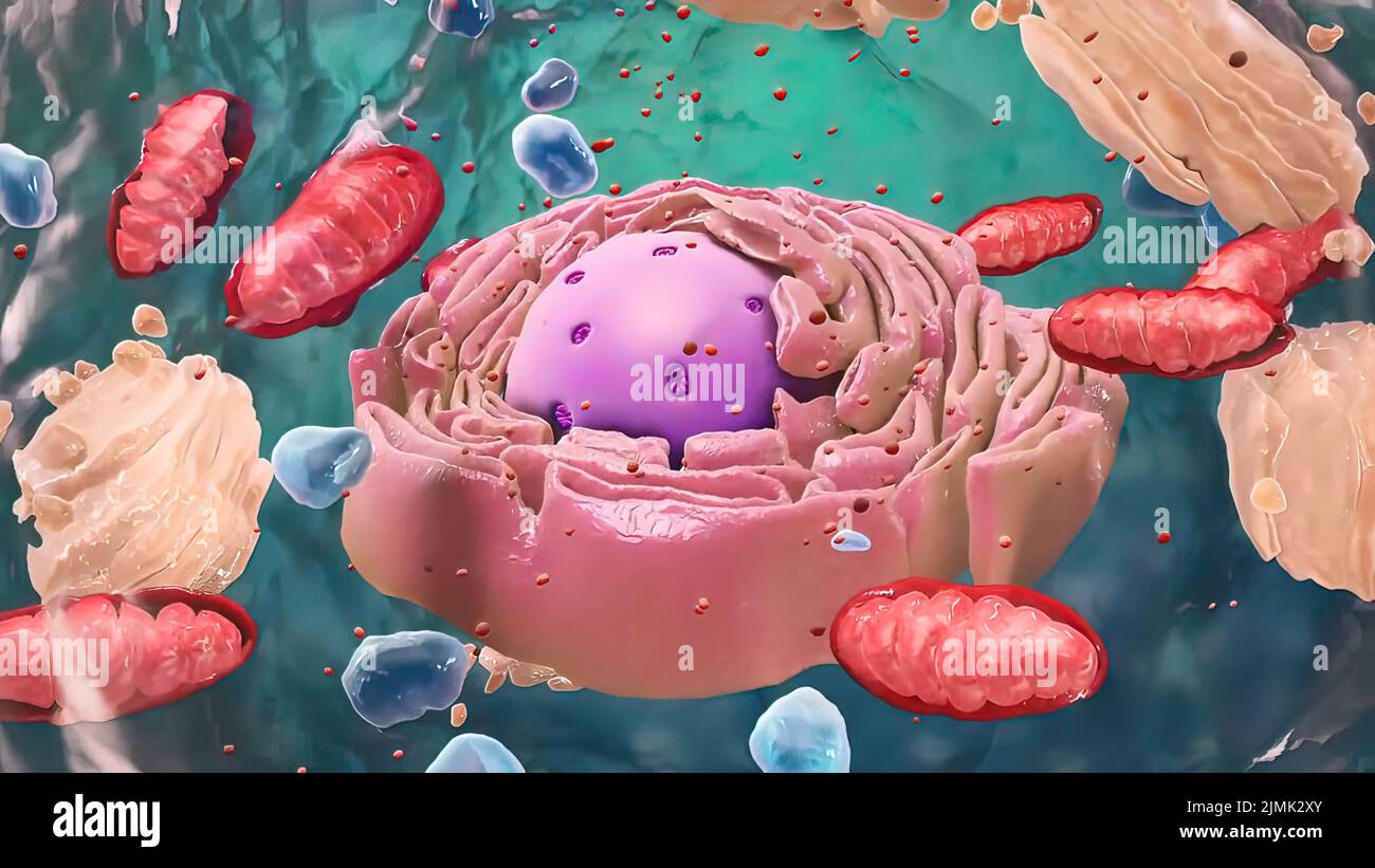 Chromosomal molecule hi-res stock photography and images - Alamy