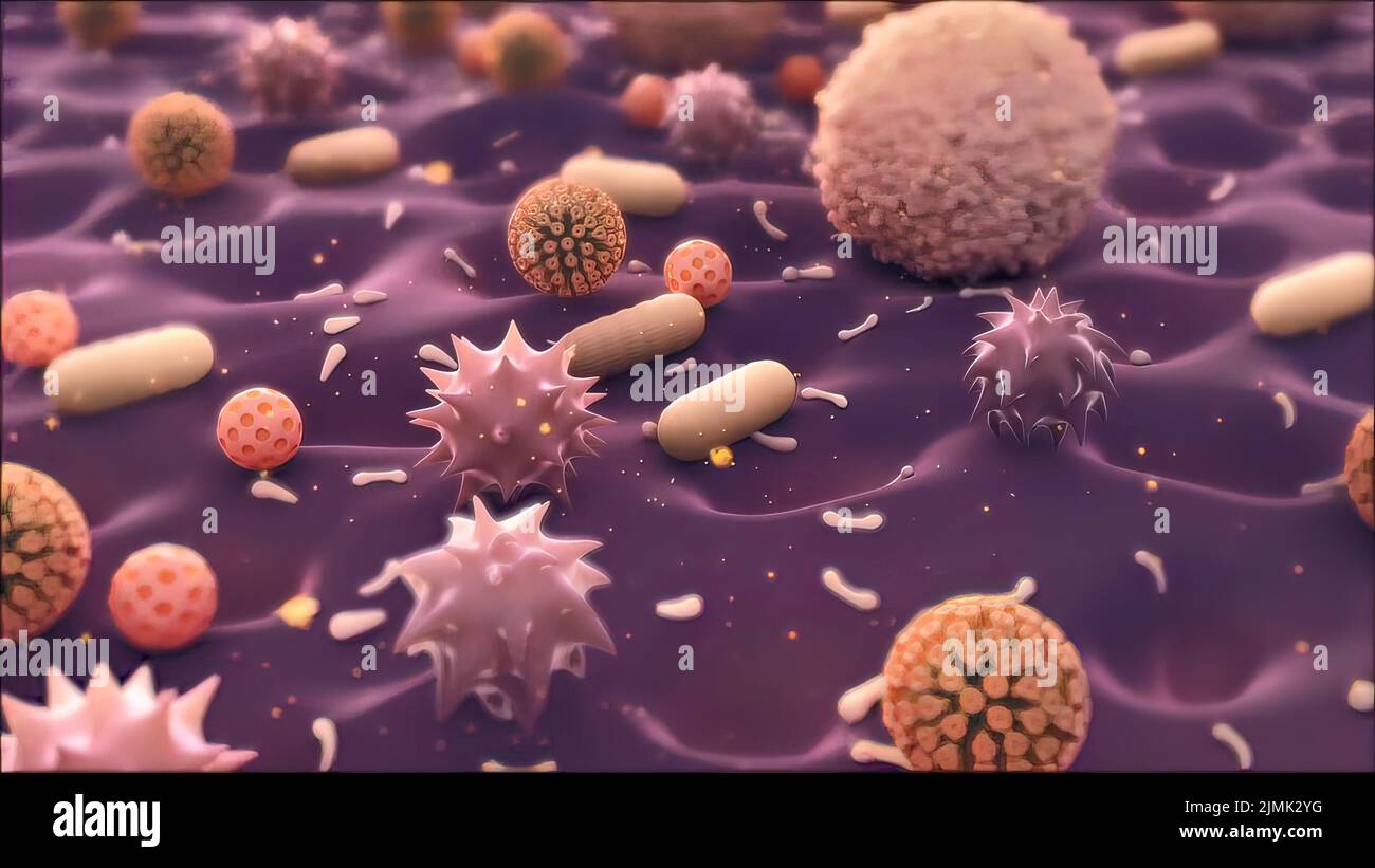 Destroy bacteria hi-res stock photography and images - Alamy