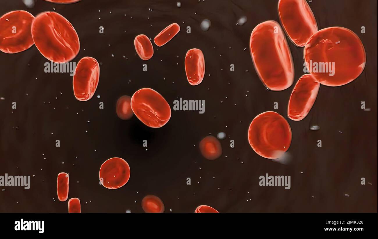 Blood circulatory system hi-res stock photography and images - Alamy