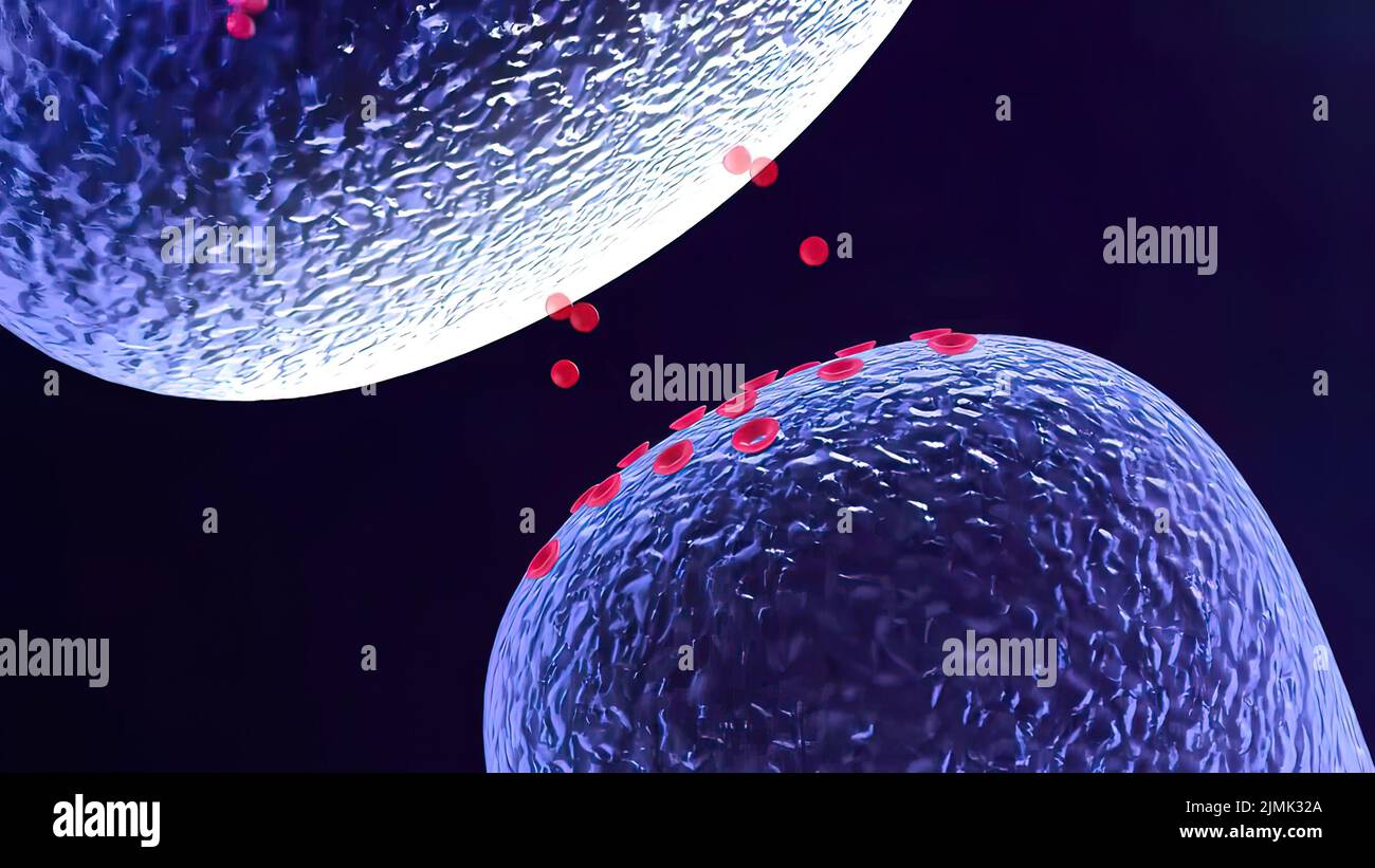 Neurons electrical light hi-res stock photography and images - Alamy
