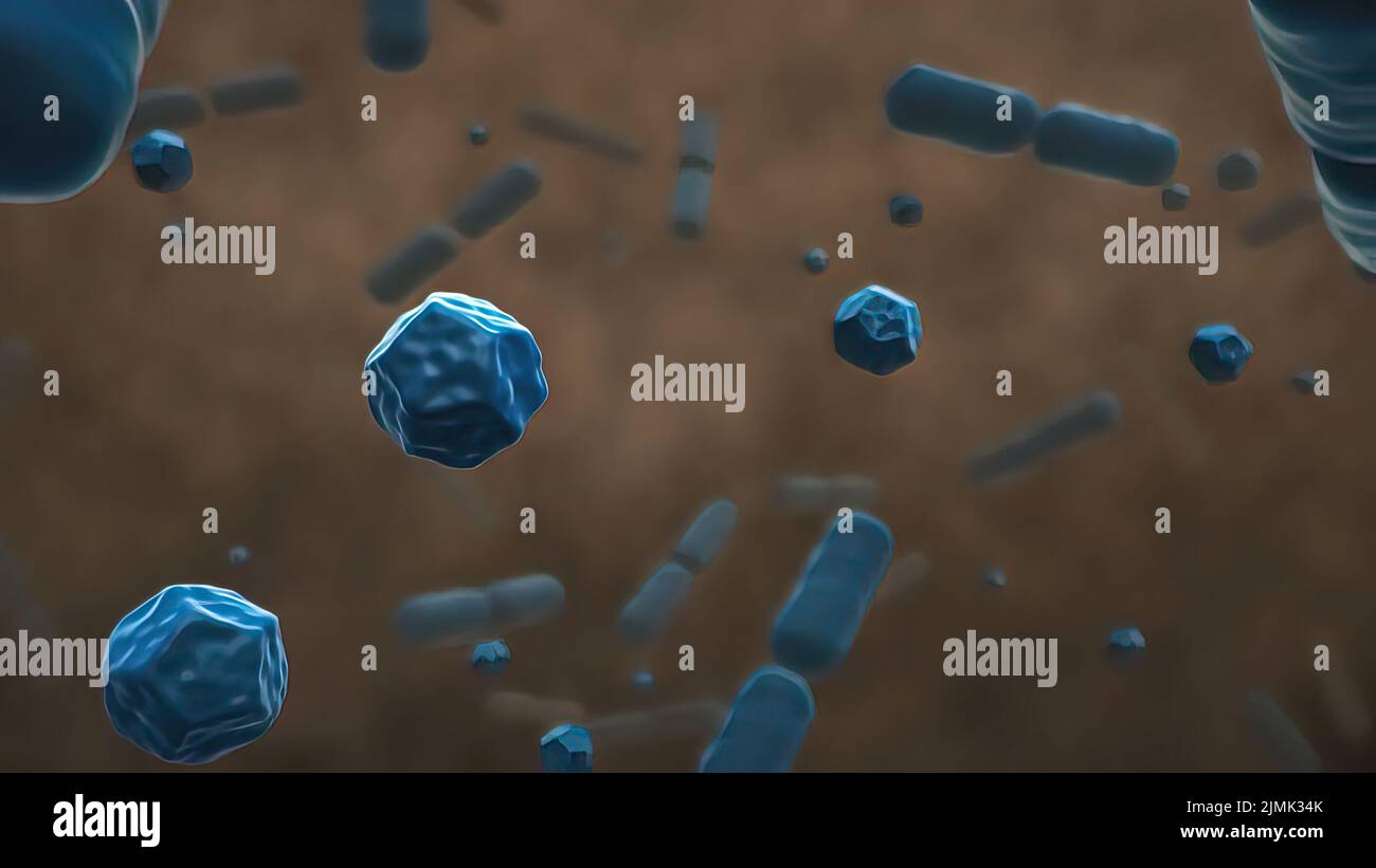 Yogurt bacteria microscope hi-res stock photography and images - Alamy