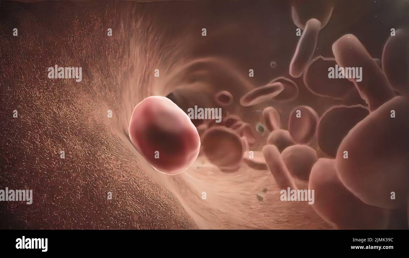 Staphylococcus pneumoniae hi-res stock photography and images - Alamy