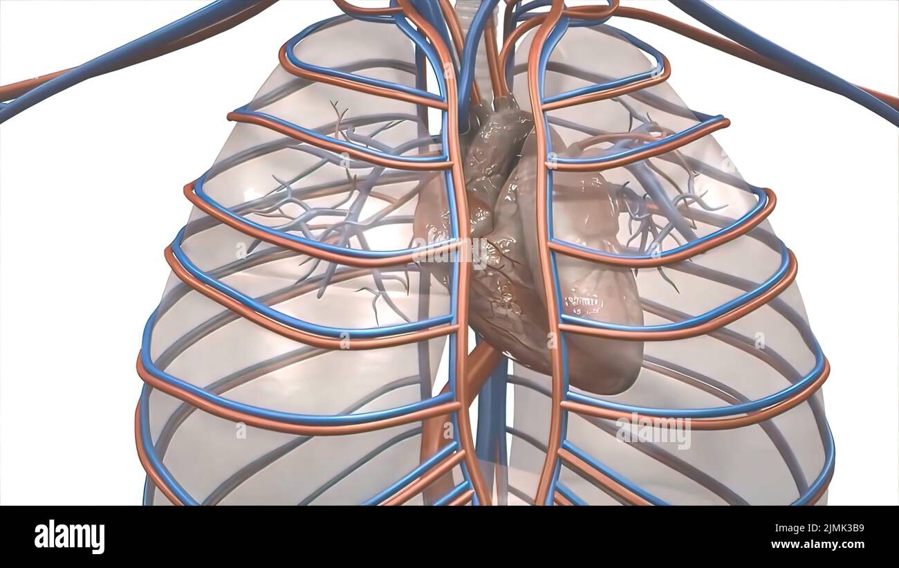 Surgery blood pump hi-res stock photography and images - Alamy