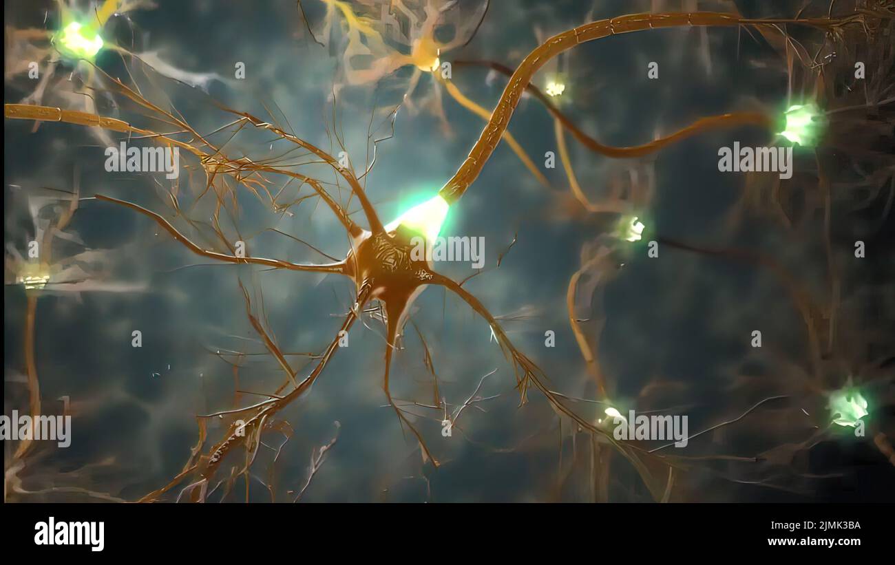 Medical brain hi-res stock photography and images - Alamy