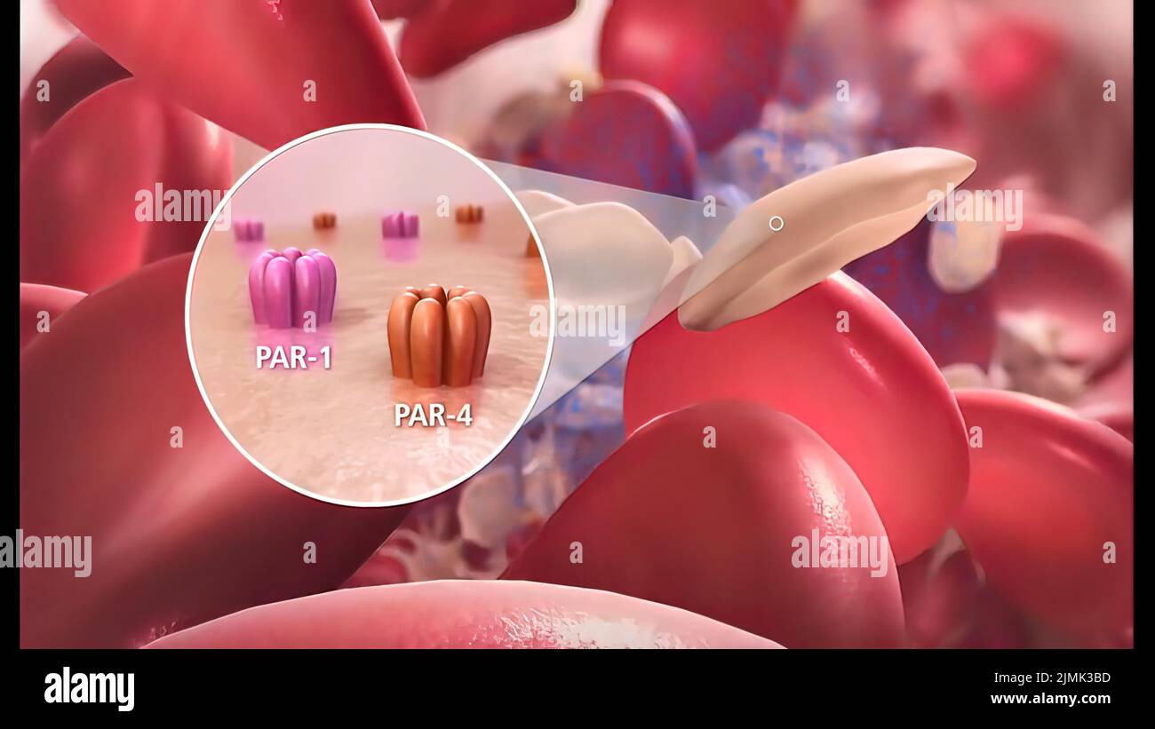 Leukemia cell death hi-res stock photography and images - Alamy