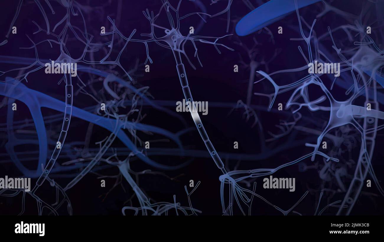 Neurons electrical hi-res stock photography and images - Alamy