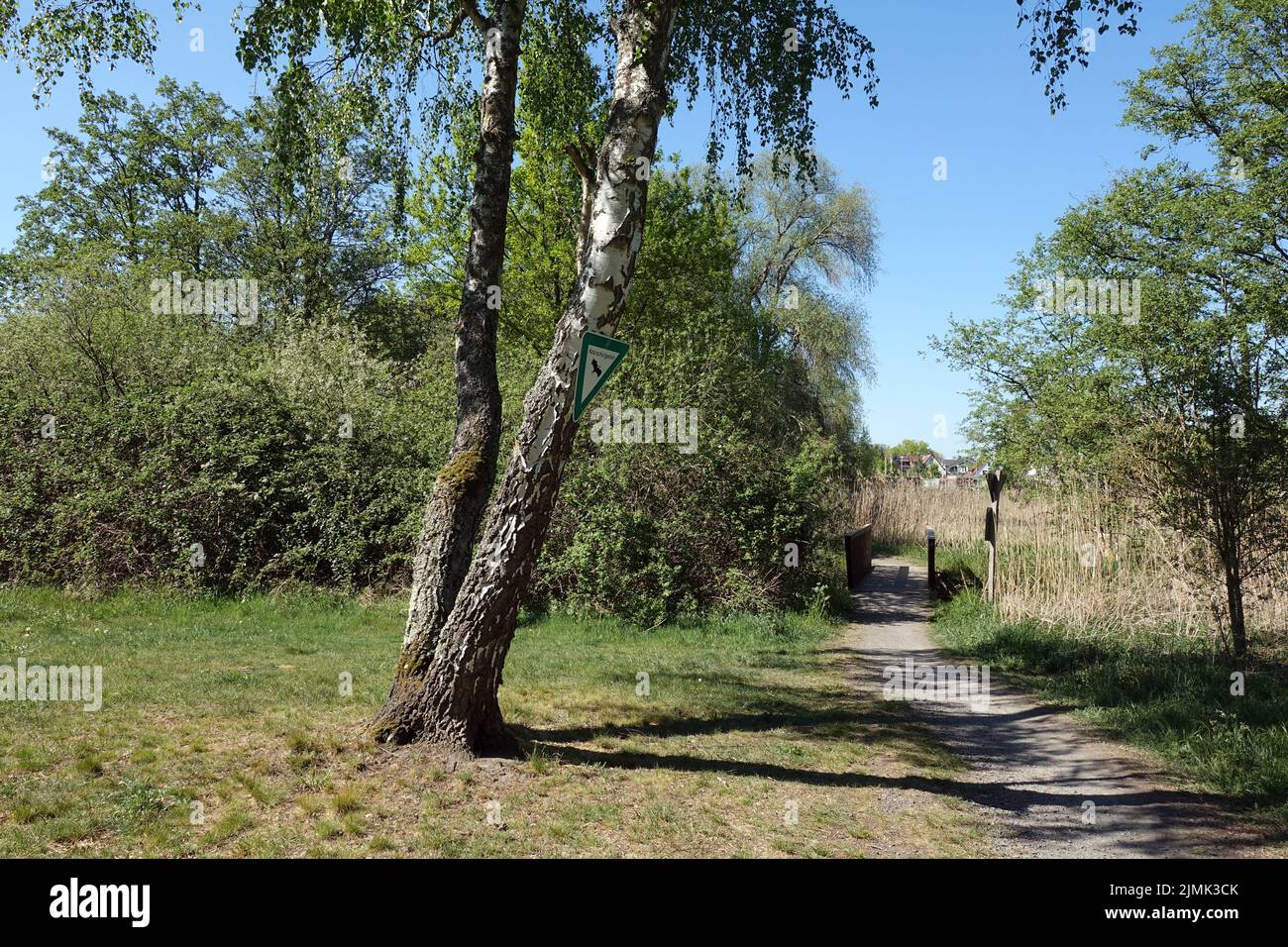 Birch and bridge near Rodgau Stock Photo - Alamy