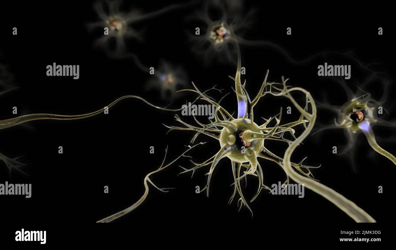Neuro connections hi-res stock photography and images - Alamy