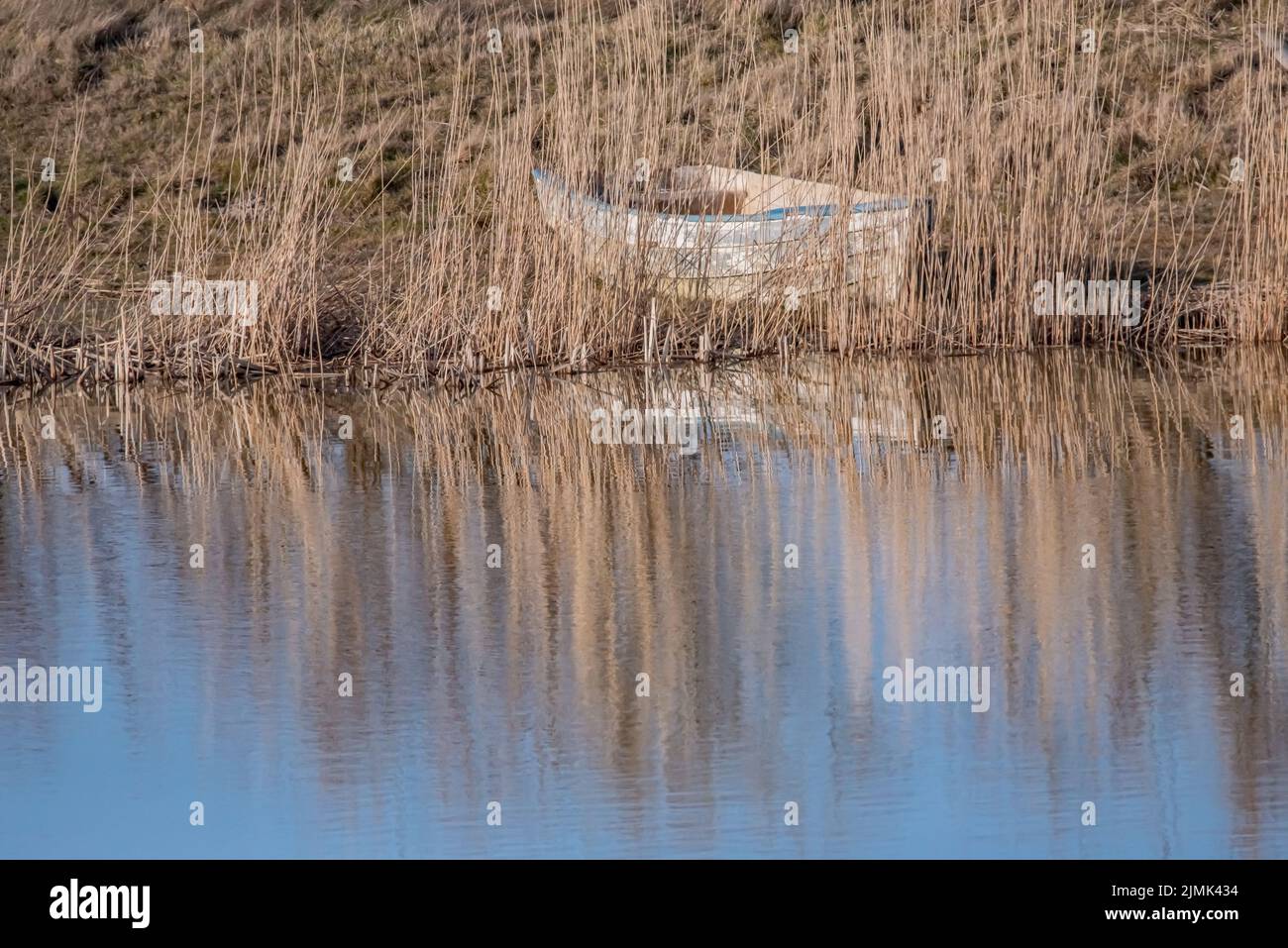 Reed bank zone Stock Photo - Alamy