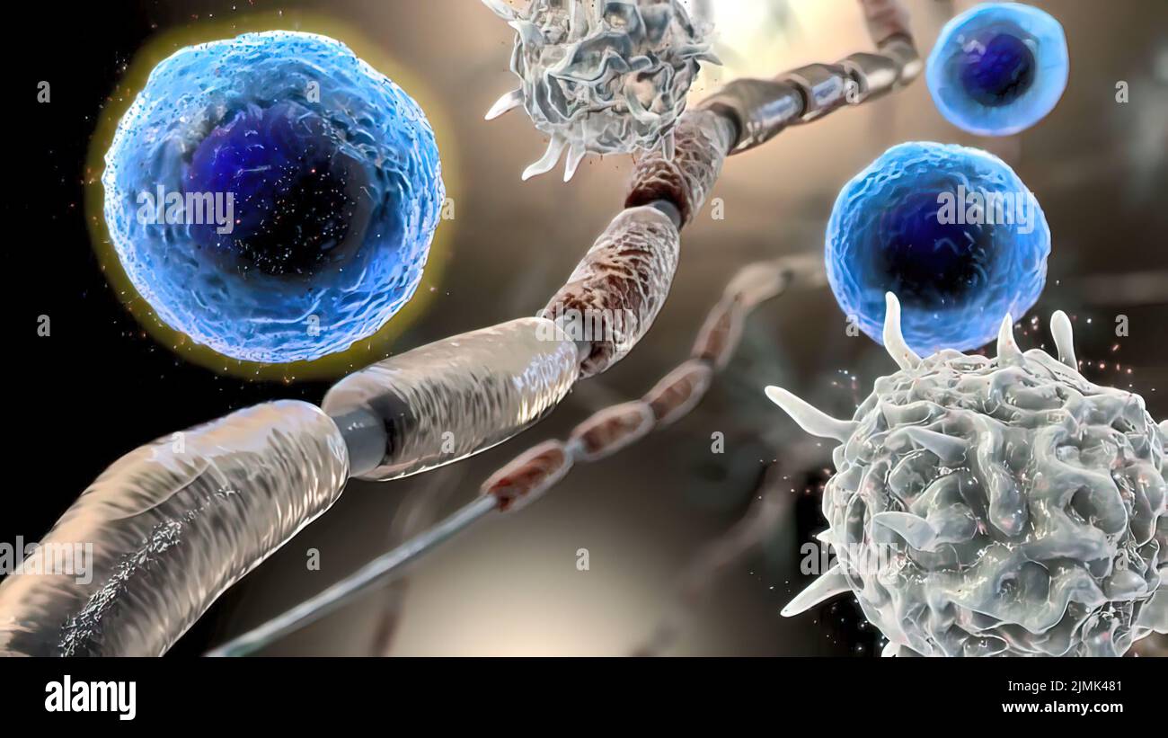 Blood cell production hi-res stock photography and images - Alamy