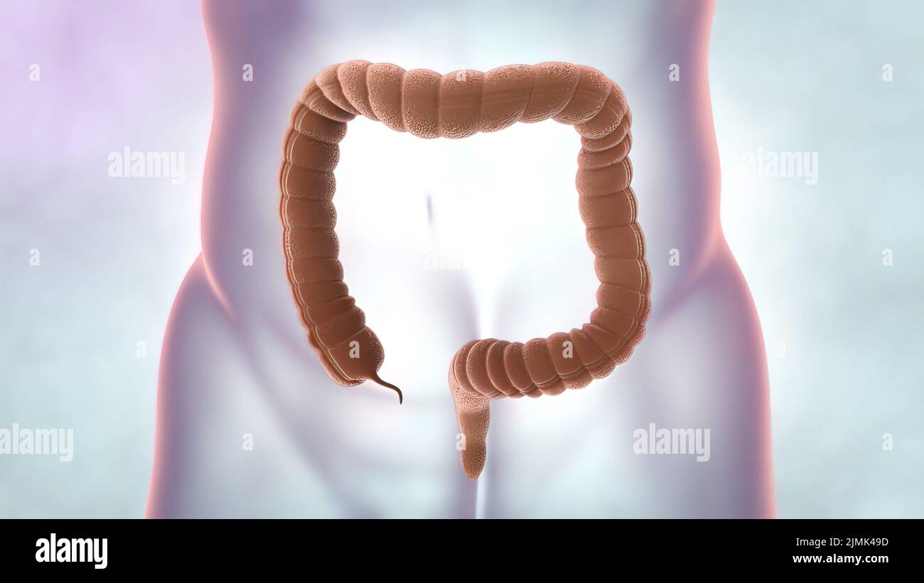 Transparent human hi-res stock photography and images - Alamy