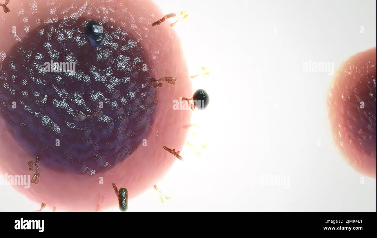 Aging cell damage hi-res stock photography and images - Alamy