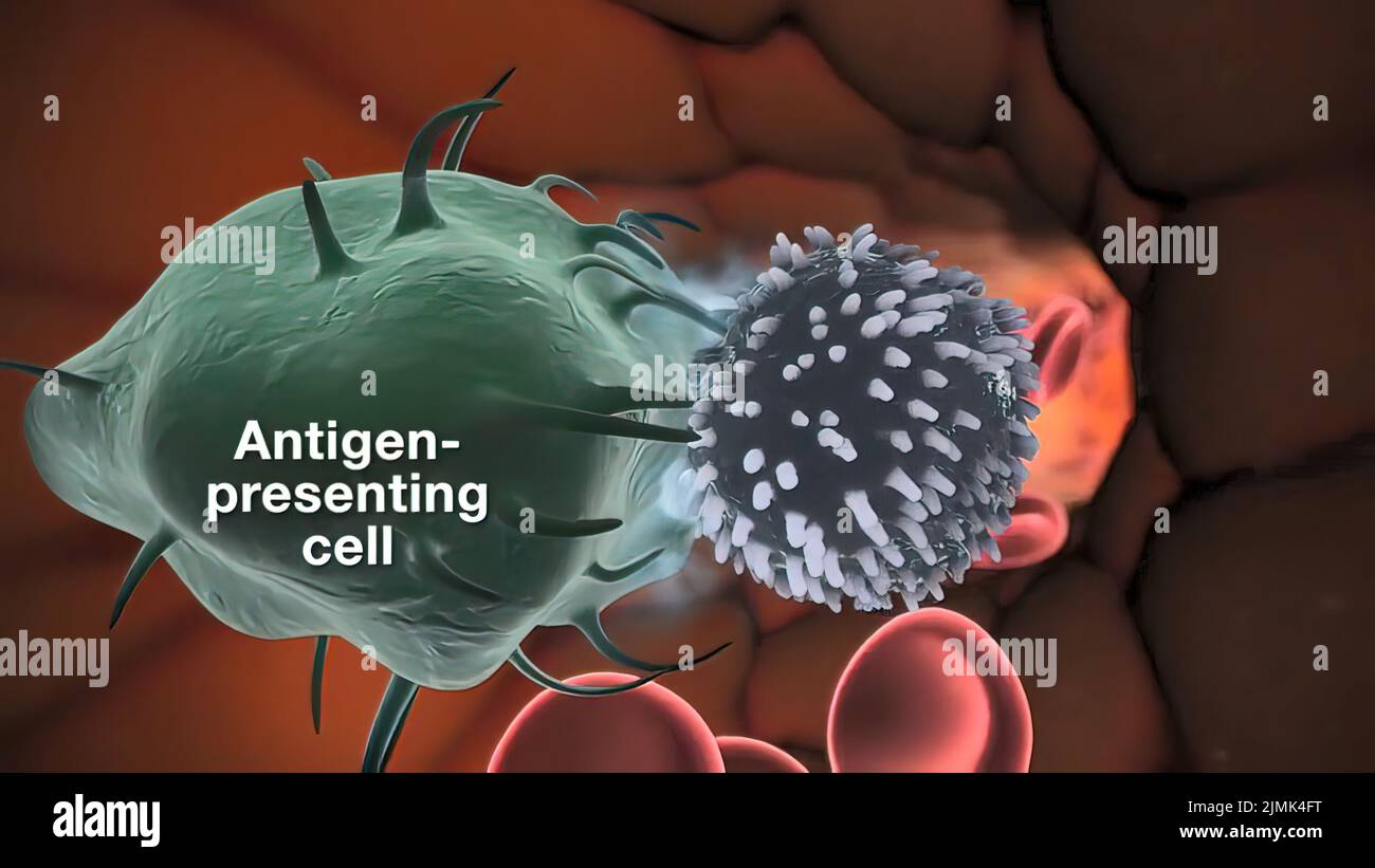 Human cytokine hi-res stock photography and images - Alamy