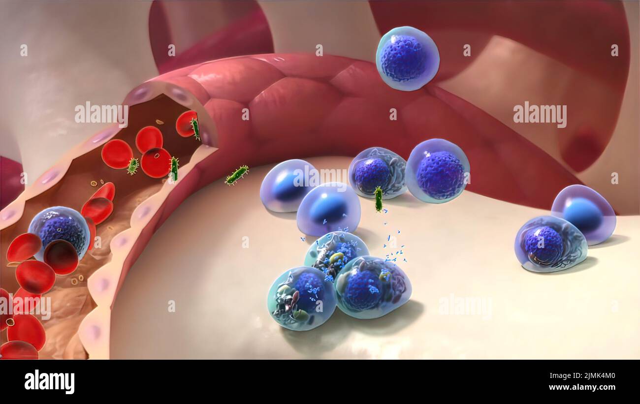 Chromatin microscope hi-res stock photography and images - Alamy