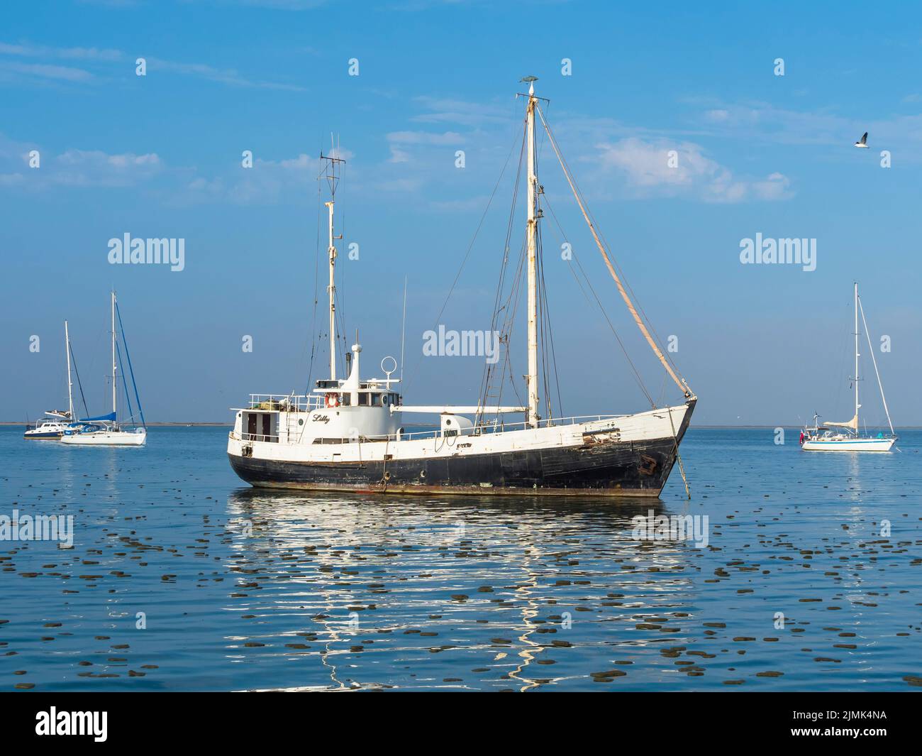 Walvis bucht hi-res stock photography and images - Alamy