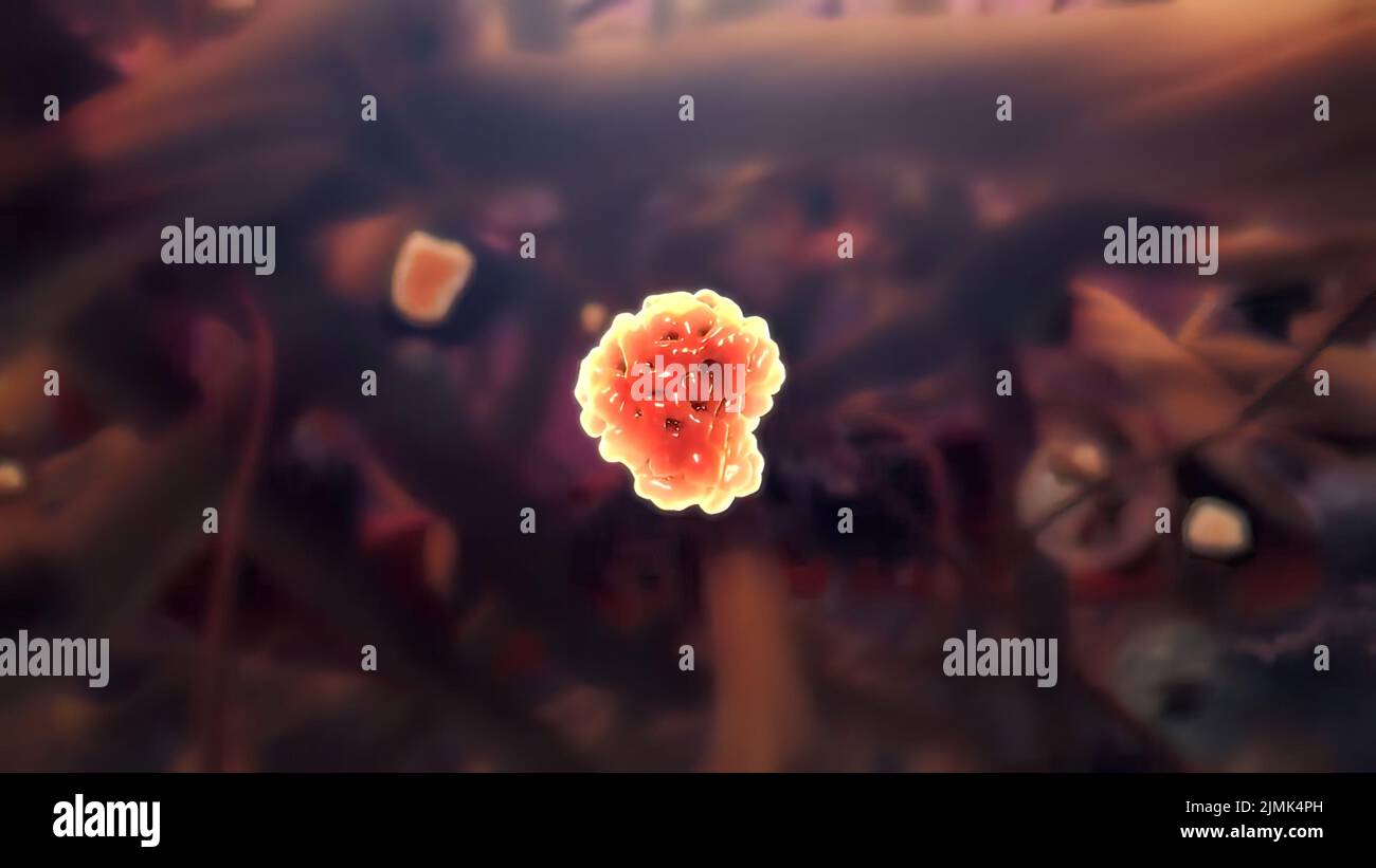 Differentiation therapy hi-res stock photography and images - Alamy