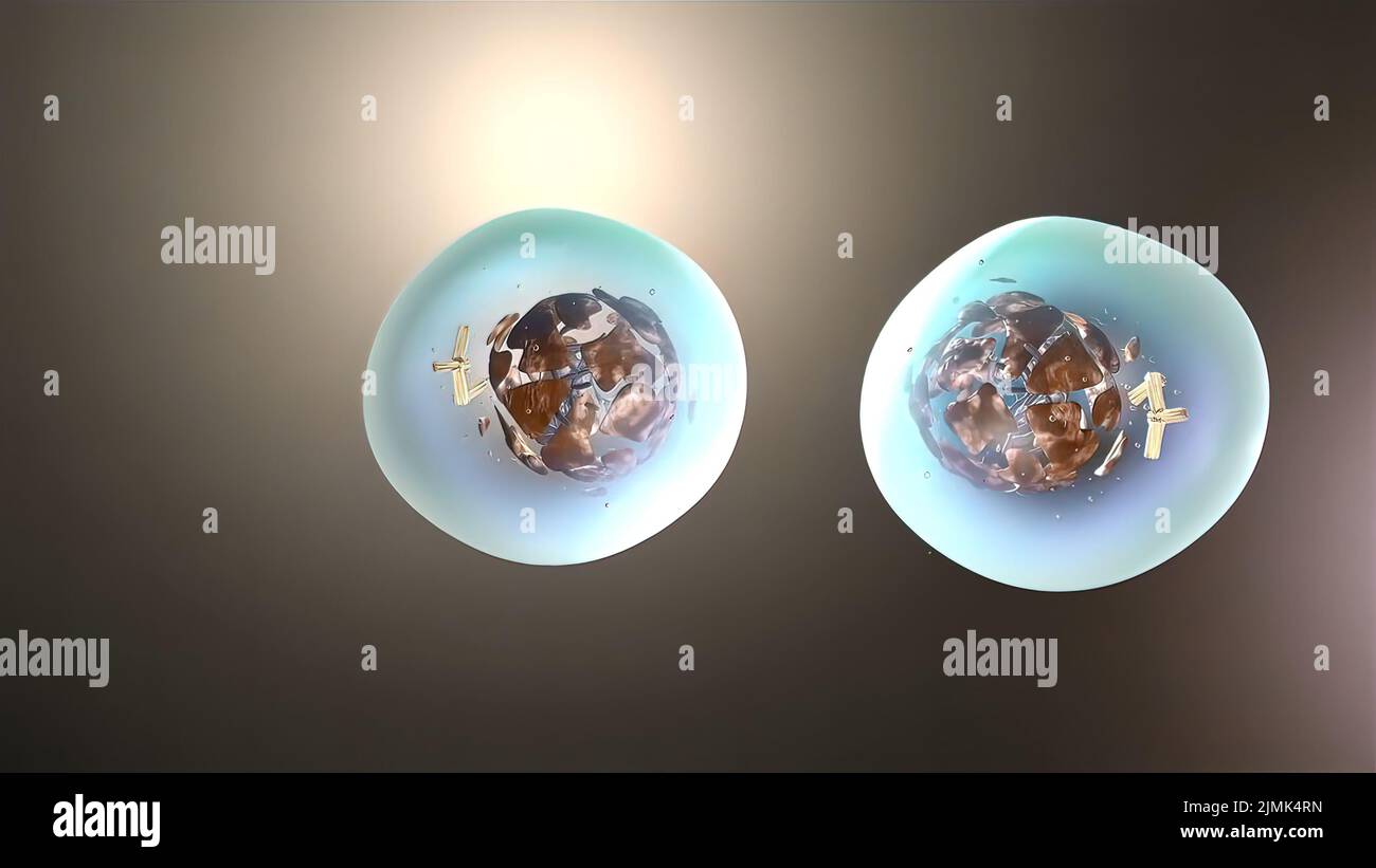 Chromatin microscope hi-res stock photography and images - Alamy