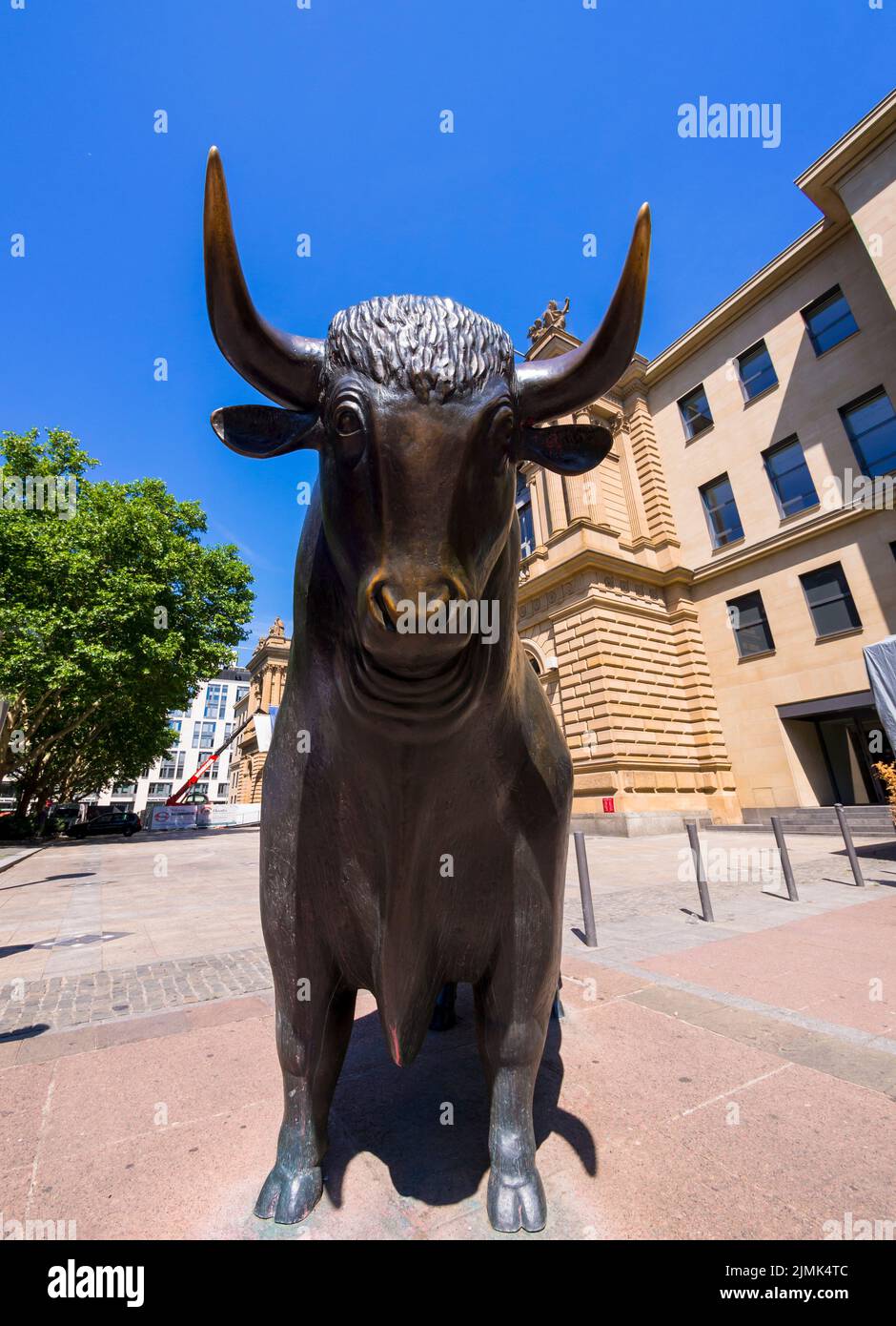 Bull street wall hi-res stock photography and images - Alamy