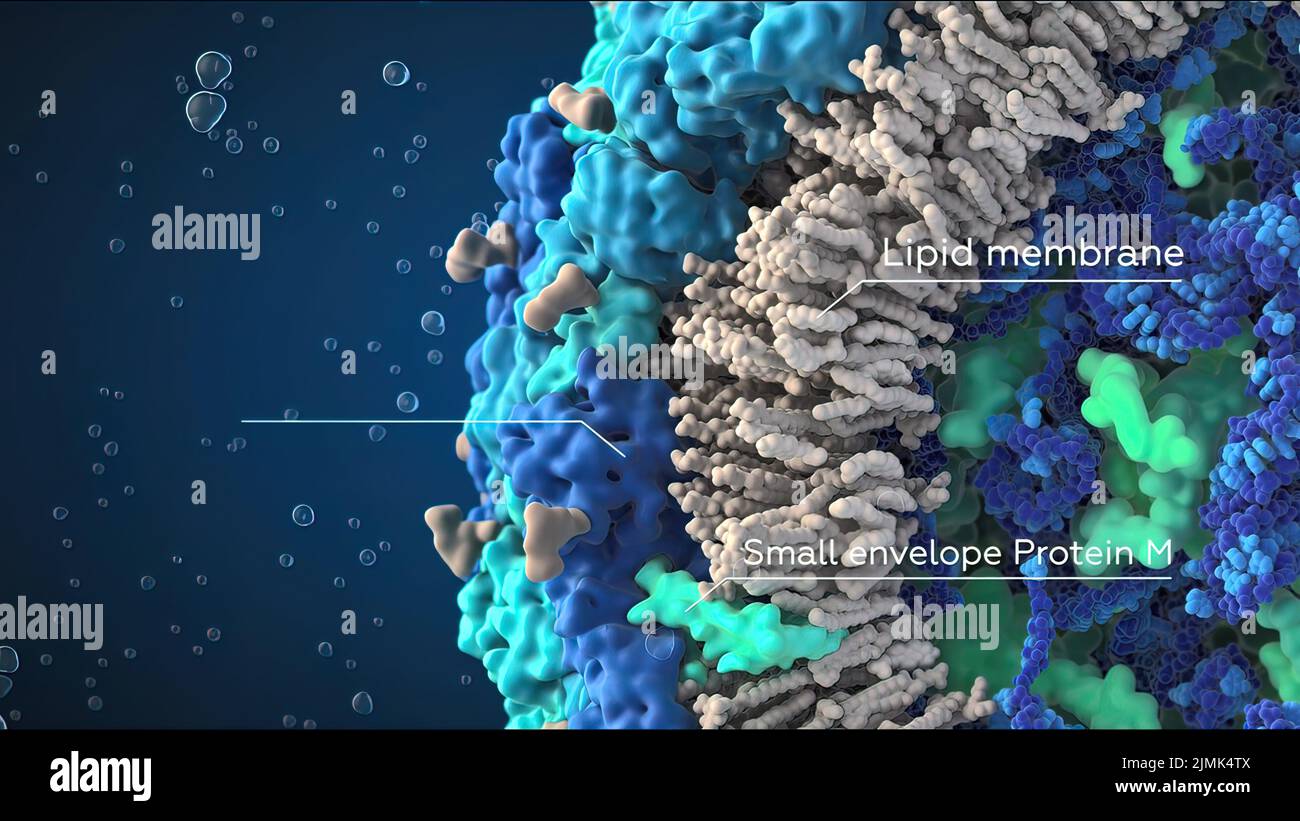 Microcell background hi-res stock photography and images - Alamy