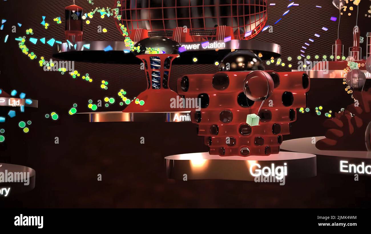 Human reproduction process hi-res stock photography and images - Alamy