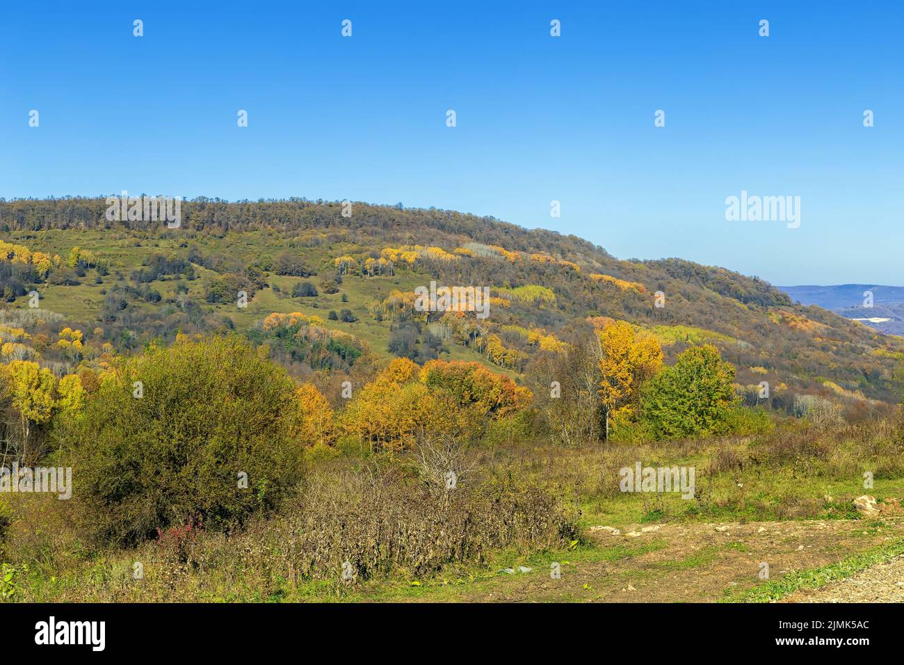 Forested mountains, Russia Stock Photo - Alamy