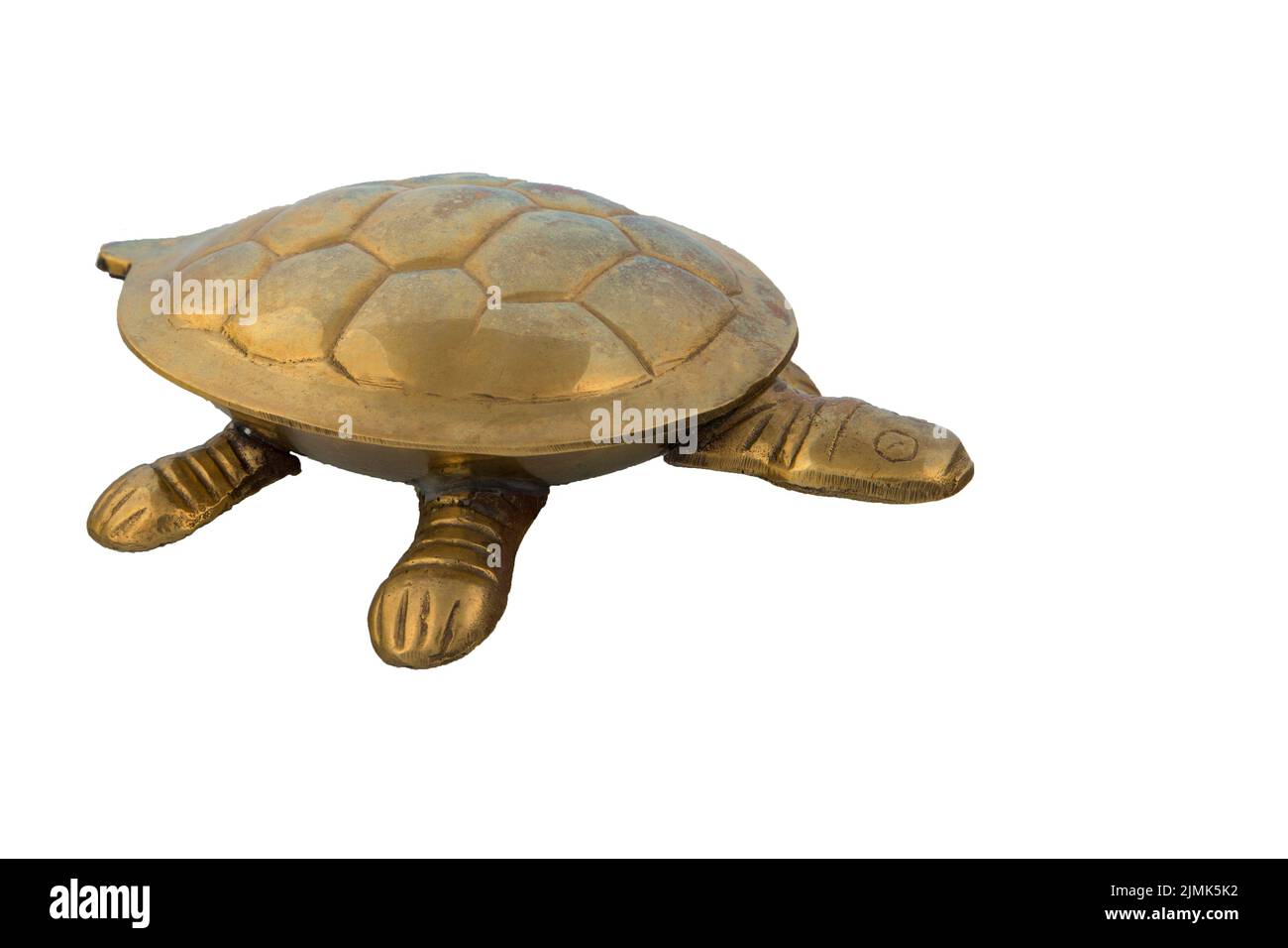 Golden turtle on a white background Stock Photo - Alamy
