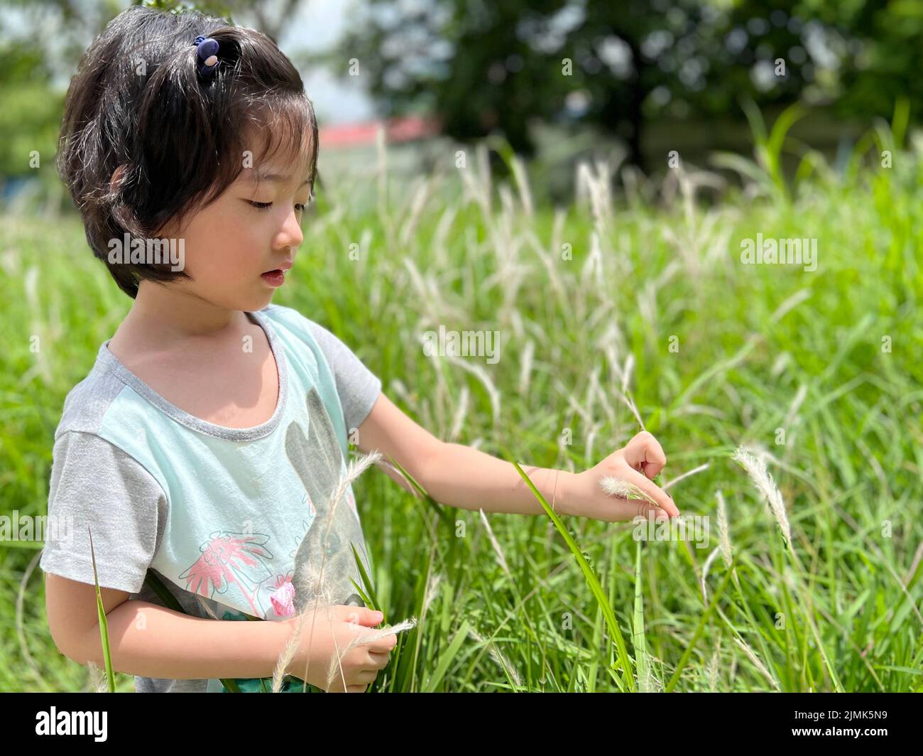 Beautiful little cute girl is picking up flower in the grass field with copy space Stock Photo ...