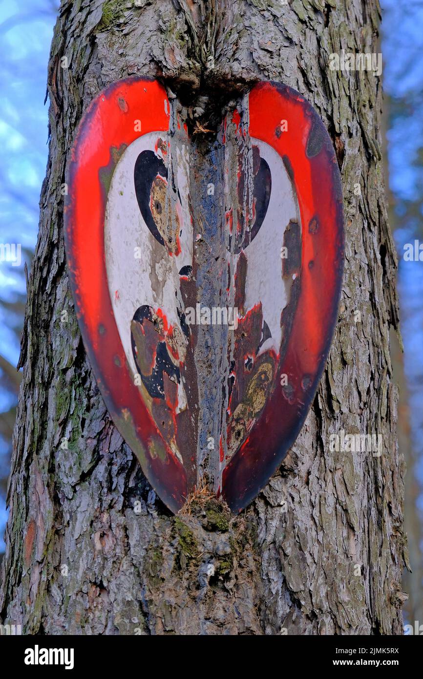 Prohibition sign overgrown with a tree bark Stock Photo - Alamy