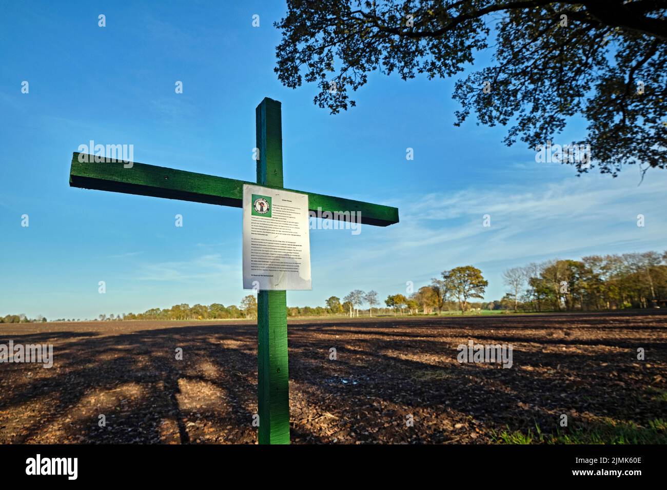 Action Green Crosses - a green wooden cross Stock Photo - Alamy