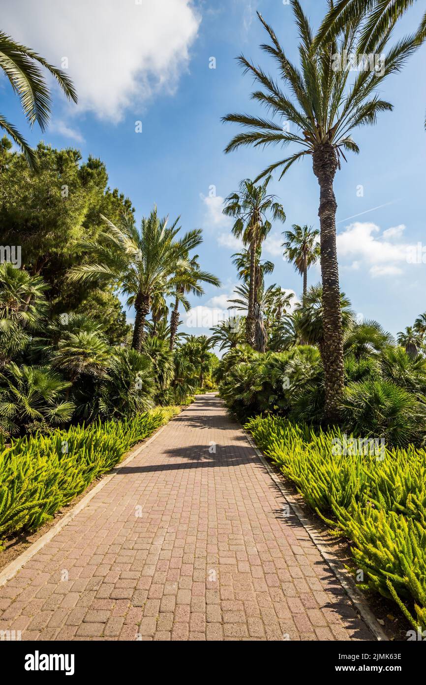 Warm sunny day. Great walk Stock Photo - Alamy