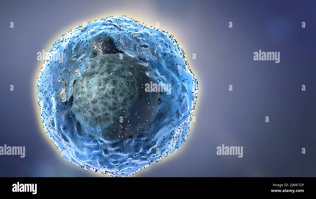 Cleaning cell hi-res stock photography and images - Alamy