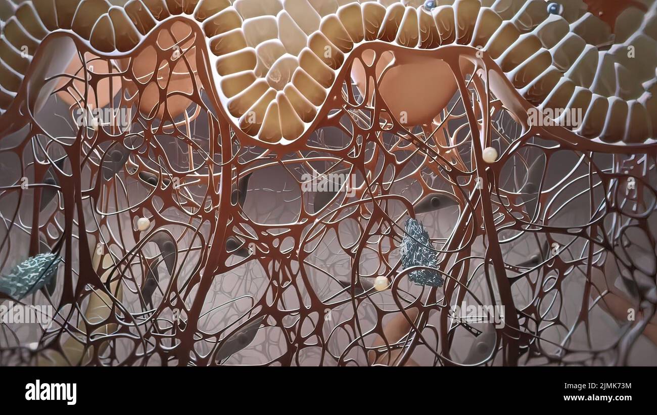 Protect cells hi-res stock photography and images - Alamy