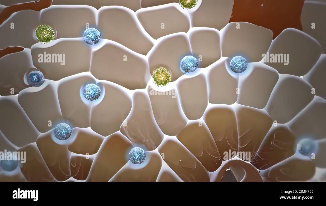 Antibody illustration blue hi-res stock photography and images - Alamy